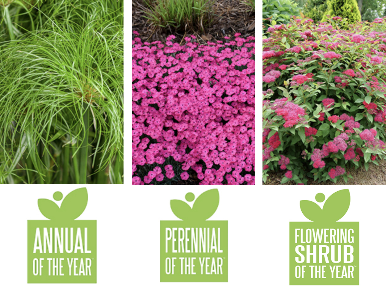 National Advertising Campaign | Proven Winners