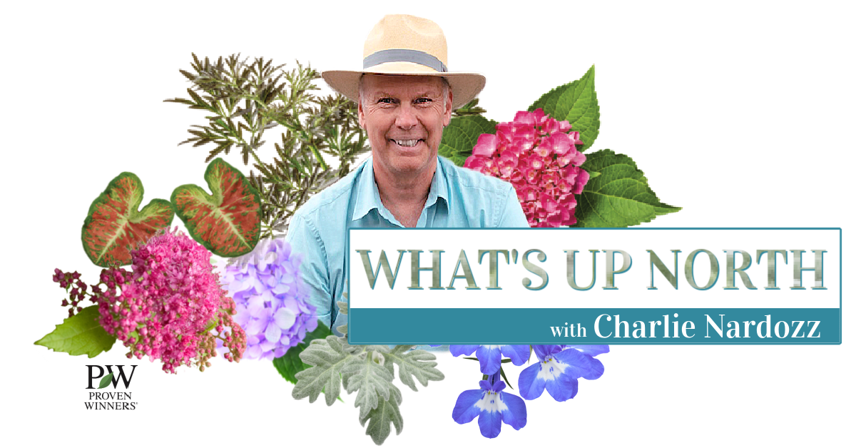 What's up North - Charlie Nardozz | Proven Winners
