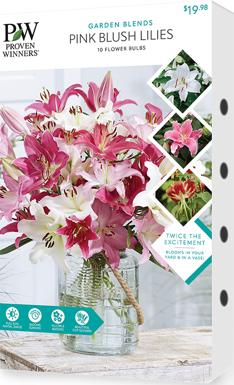 Premium Flowering Spring Bulbs for Summer Blooms