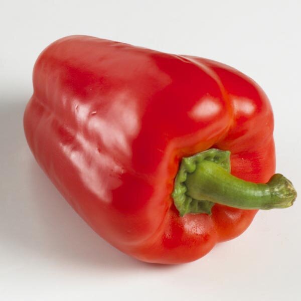 Capsicum annuum - Sweet Bell Pepper - Mardarin Orange - Pleasant View ...