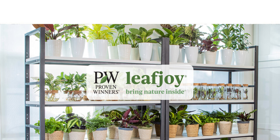 leafjoy® bring nature inside - Retailers Guide | Proven Winners