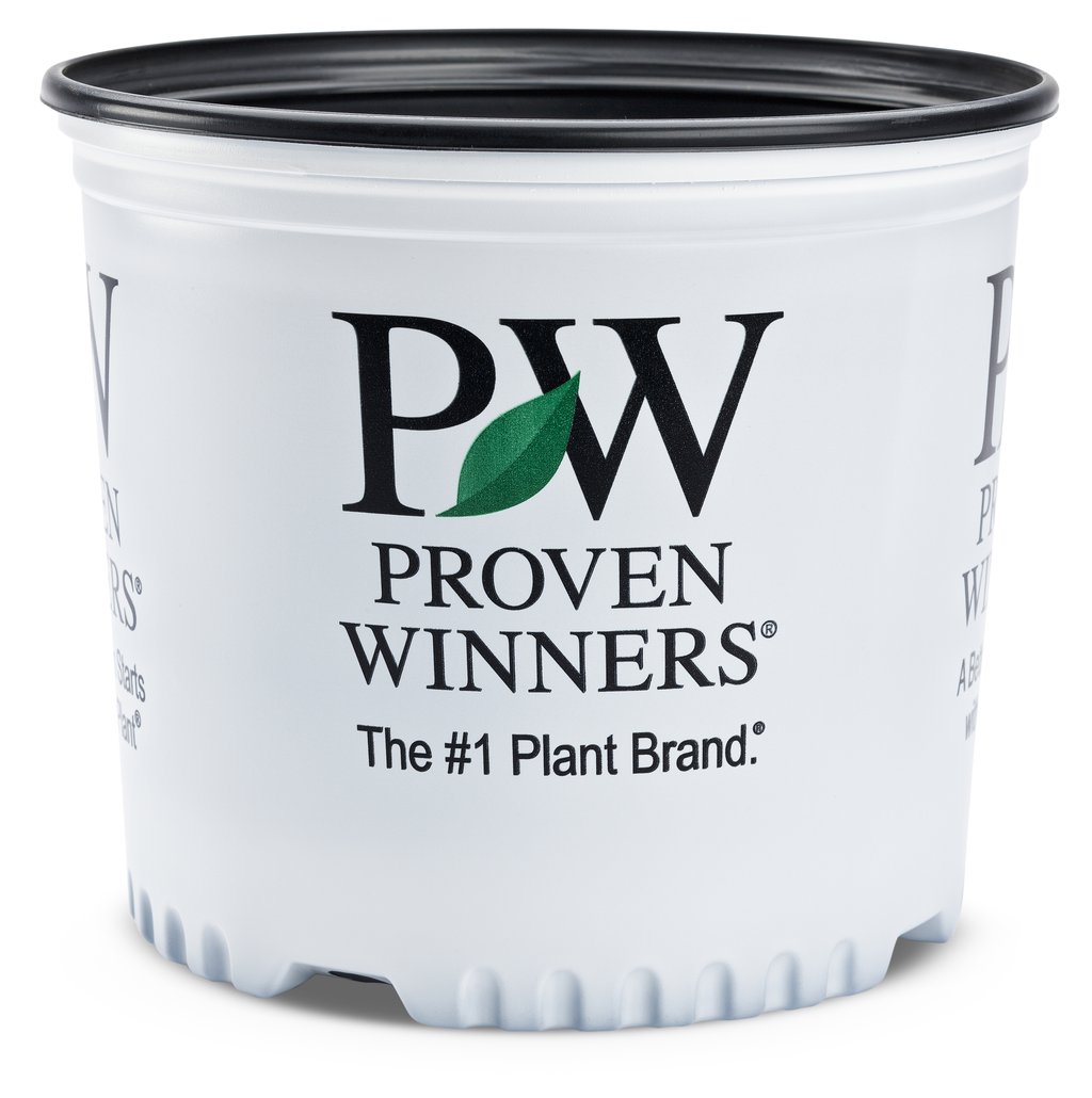 pwperennialcontainer3gal.jpg | Proven Winners