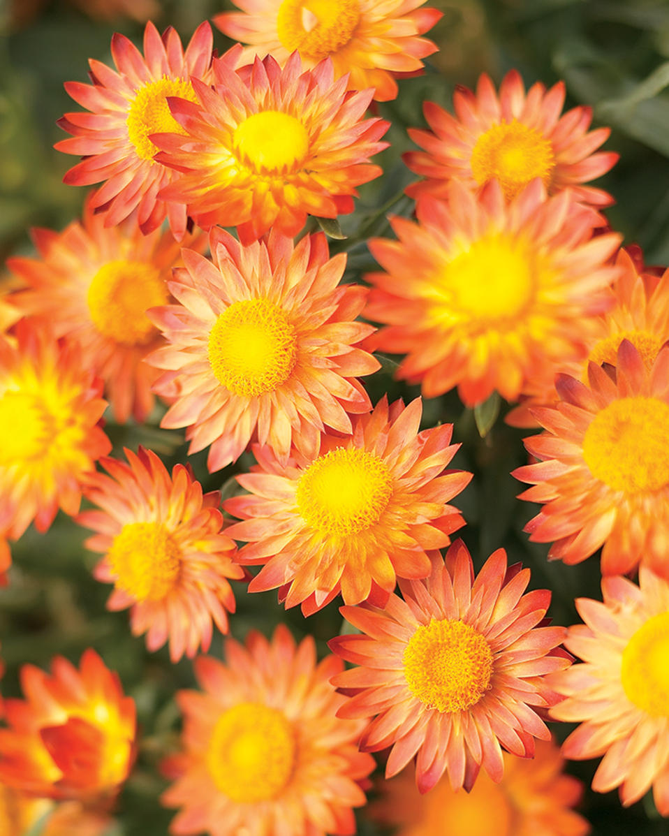 301 Moved Permanently