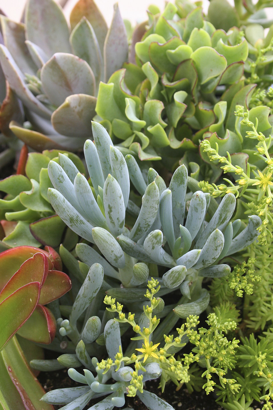 301 Moved Permanently