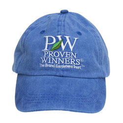 Certified Hat 2025 - Blue | Proven Winners