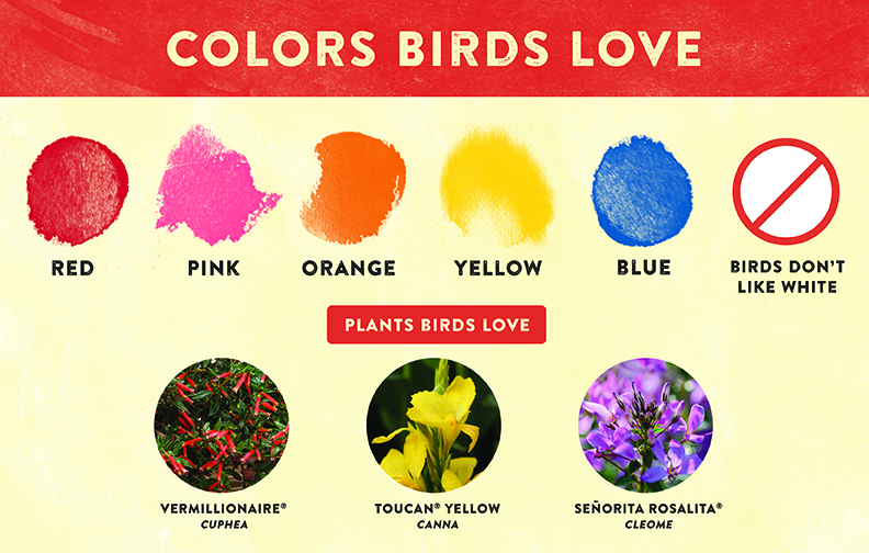 Colors that Birds Love Pollinator 11x7" Display Benchcard | Proven Winners