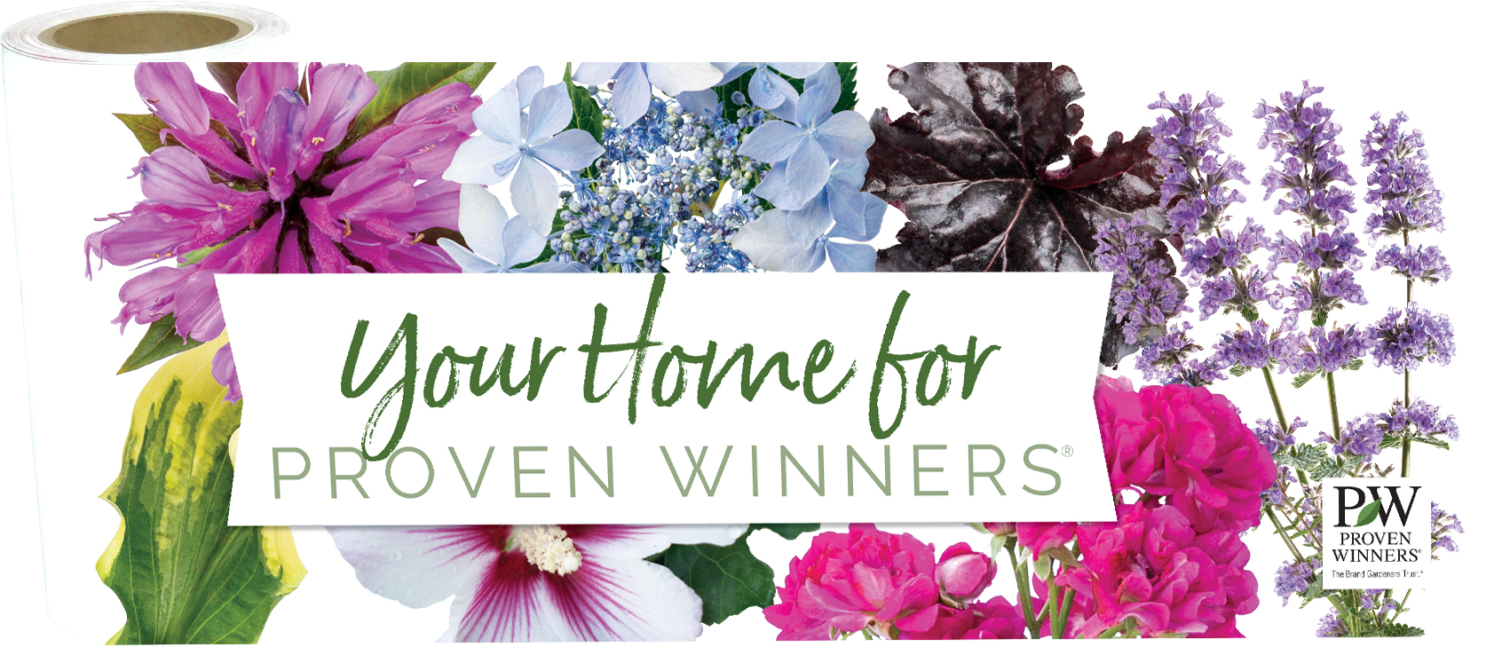 Your Home for Proven Winners® Bench SKIRT - 10"x100' roll | Proven Winners