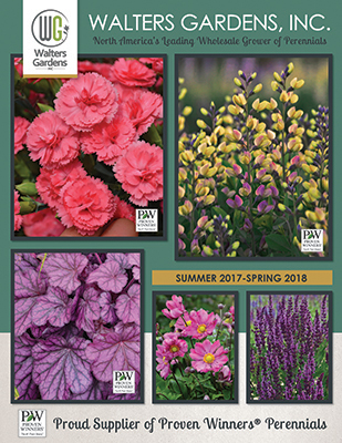 Online Plant Nursery Catalogs